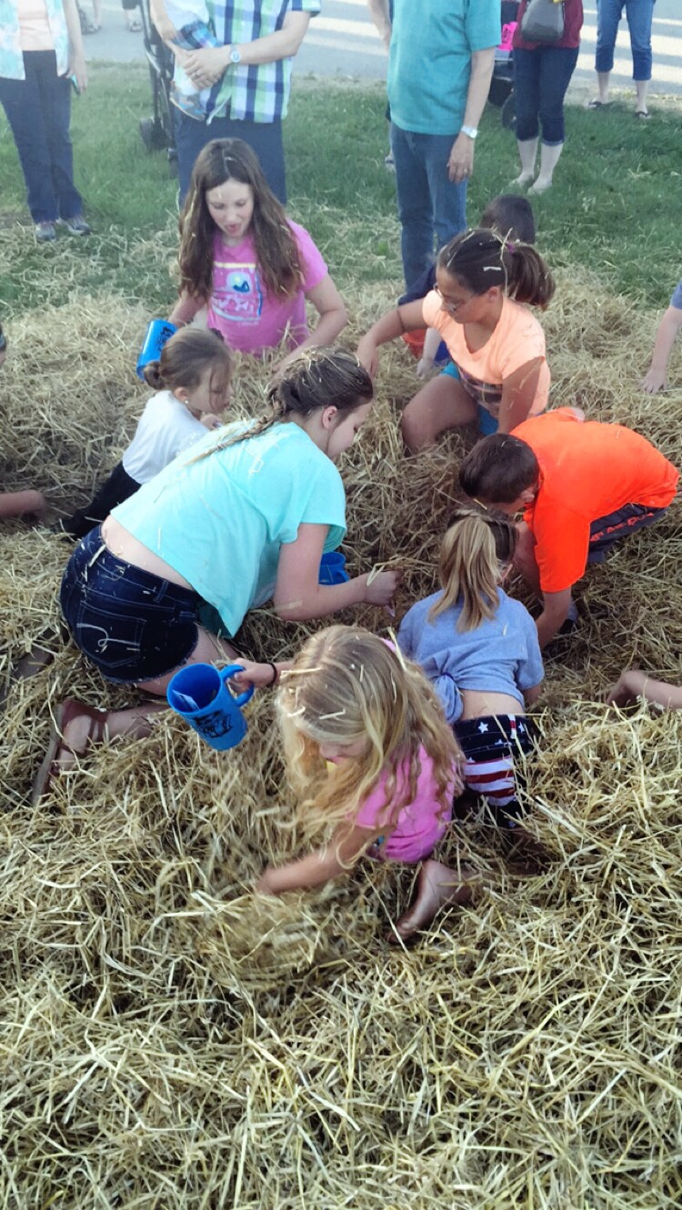 Family Fun at the Fair - With a Wink and a Smile